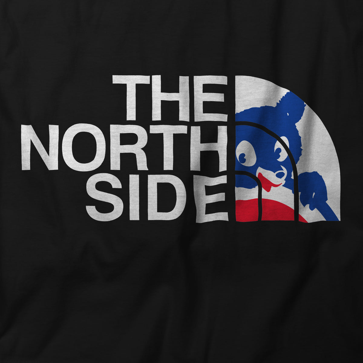 THE NORTH SIDE LOGO Long Sleeve T-SHIRT – Independent Threads